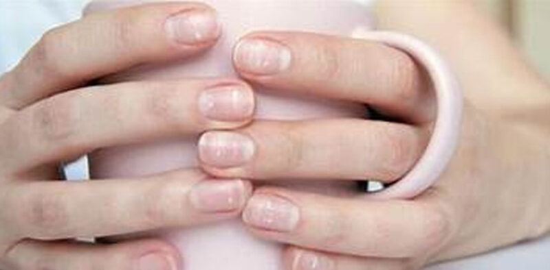 Primer para uñas ¿Qué es? ¿Cómo utilizarlo correctamente? | Blog Druni