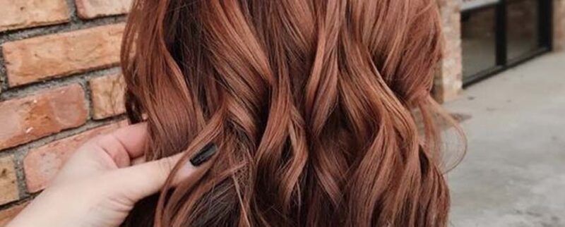 Tinte castaño avellana, un irresistible para las castañas | Blog Druni