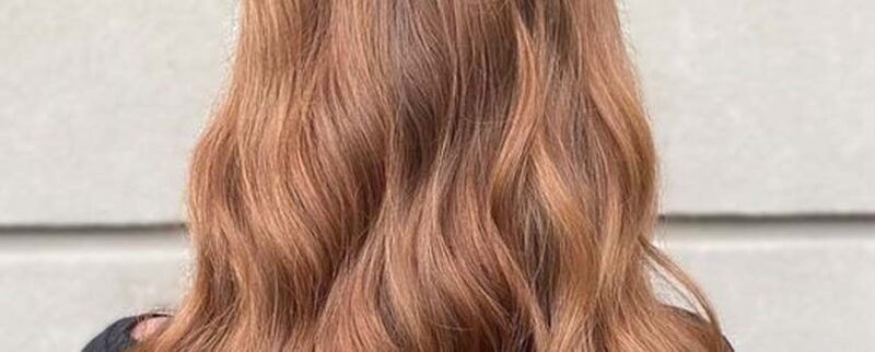 Tinte castaño avellana, un irresistible para las castañas | Blog Druni