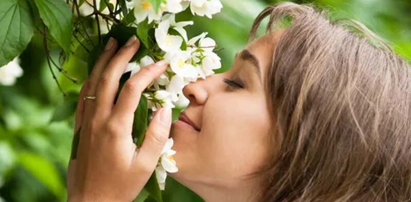 Perfumes con olor a violetas que enamoran | Blog Druni