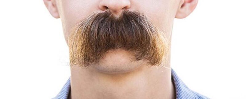 7 tipos de bigote: ¿cuál te gusta? | Blog Druni