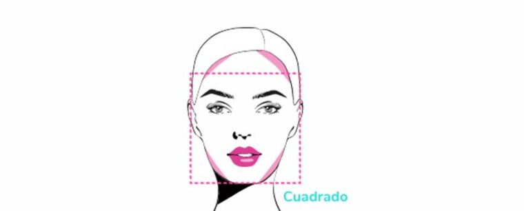 Existen diferentes tipos de cara, ¿Cuál es el tuyo? | Blog Druni