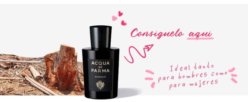 Descubre las mejores fragancias de sándalo: ¡El aroma de la madera de ...