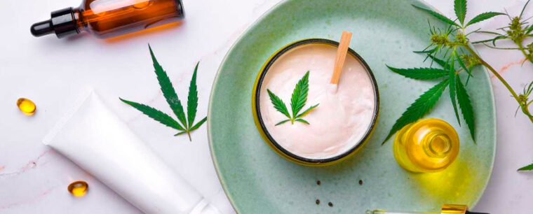 Las mejores cremas con CBD | Blog Druni