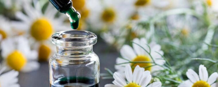 ¿Conoces el poder del bisabolol? Aprovecha sus múltiples aplicaciones ...