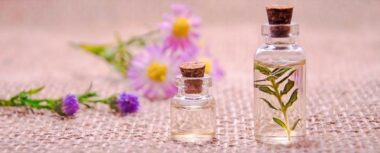 Las notas de un perfume: ¿Cuáles son? | Blog Druni