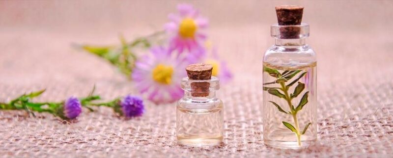 Las notas de un perfume: ¿Cuáles son? | Blog Druni