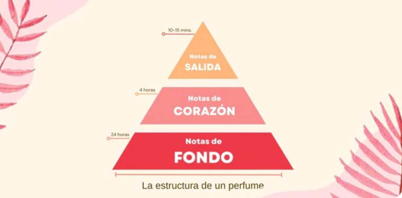¿Cómo saber si un perfume es original? | Blog Druni