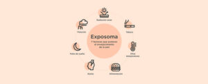Exposoma, ¿Qué es y cómo afecta a la piel? | Blog Druni