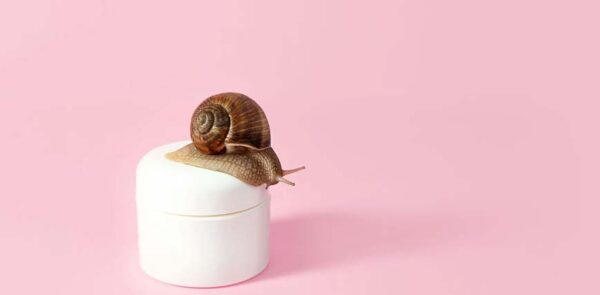Mucina de caracol: Beneficios, propiedades y formas de uso | Blog Druni