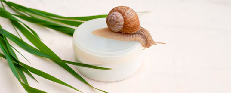 Mucina de caracol: Beneficios, propiedades y formas de uso | Blog Druni