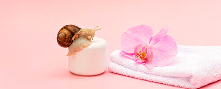 Mucina de caracol: Beneficios, propiedades y formas de uso | Blog Druni