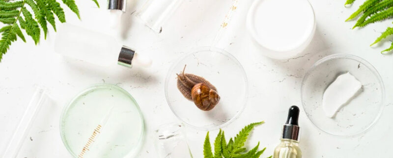 Mucina de caracol: Beneficios, propiedades y formas de uso | Blog Druni