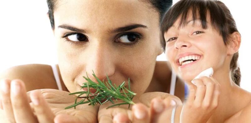 Los beneficios del romero: un clásico natural que nunca pasa de moda ...