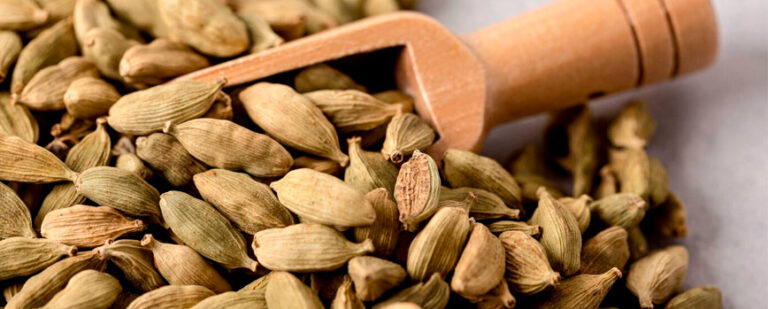 ¿Qué es el cardamomo y por qué deberías empezar a usarlo? | Blog Druni