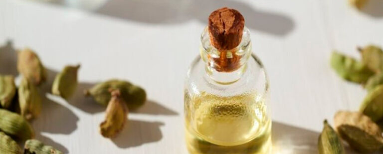 ¿Qué es el cardamomo y por qué deberías empezar a usarlo? | Blog Druni