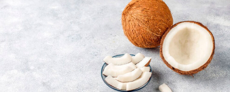 Descubre el coco: propiedades, beneficios y usos que no conocías | Blog ...