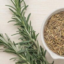 ¿Para qué sirve el aceite esencial de eucalipto? | Blog Druni