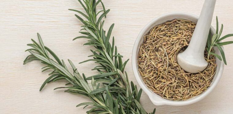 6 propiedades increíbles del tomillo | Blog Druni