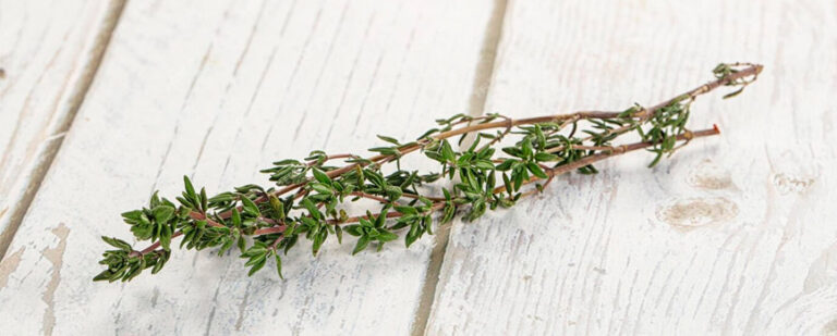 6 propiedades increíbles del tomillo | Blog Druni
