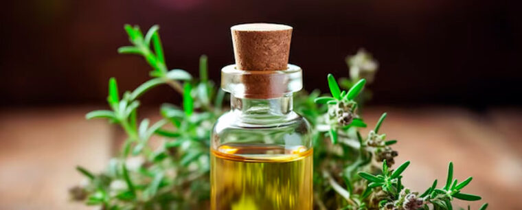 6 propiedades increíbles del tomillo | Blog Druni