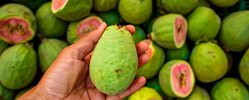 Guayaba: propiedades, beneficios y razones para consumirla diariamente ...