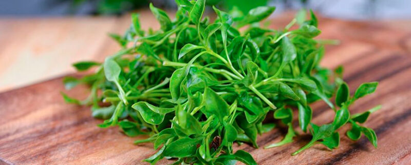 Berro: ¿qué es y para qué sirve? | Blog Druni