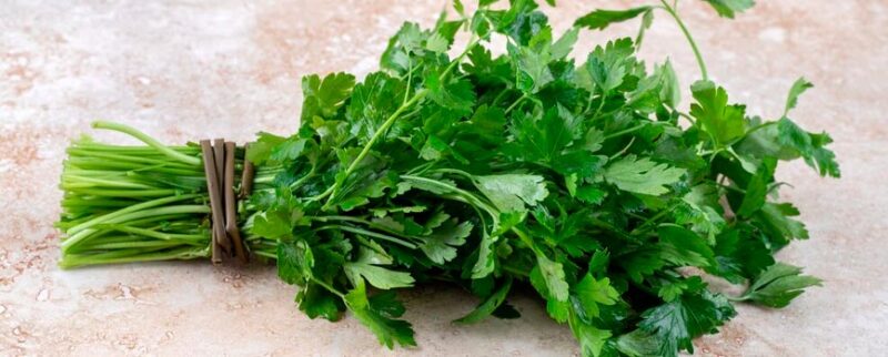 Perejil: ¿qué es y para qué sirve? | Blog Druni