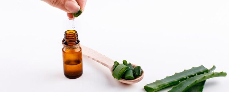 Sábila: Descubre 12 sorprendentes beneficios y cómo aprovechar sus ...