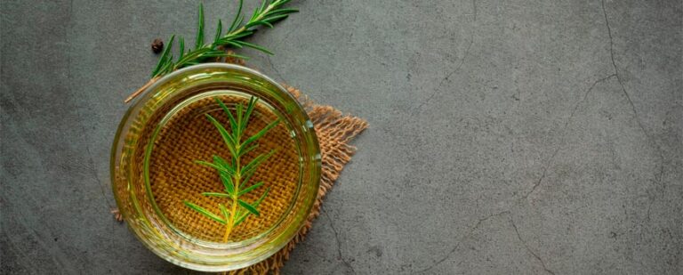 Té de romero: Beneficios secretos y todo lo que tienes que saber | Blog ...