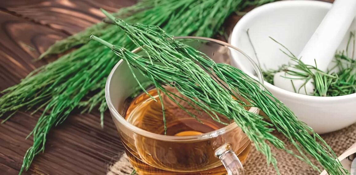 Beneficios de la cola de caballo para el pelo | Blog Druni