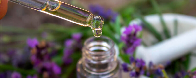 ¿Qué es y para qué sirve el linalool? | Blog Druni