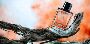 ¿Qué es y para qué sirve el benjuí? | Blog Druni