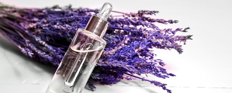 Los mejores perfumes con lavanda: frescura, elegancia y versatilidad en ...