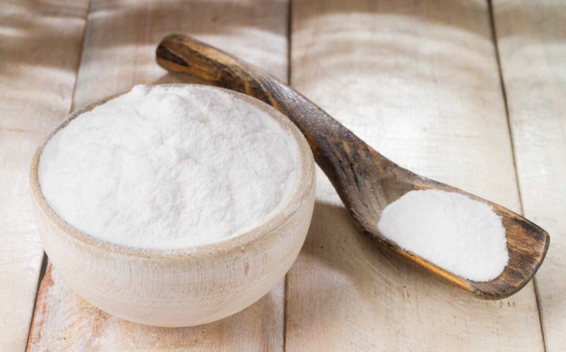 Mucina de caracol: Beneficios, propiedades y formas de uso | Blog Druni