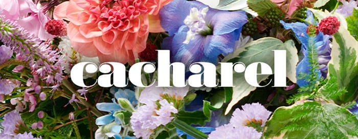 CACHAREL Perfumes // Comprar productos a los Mejores Precios | DRUNI